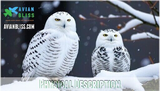Is The Snowy Owl Endangered? Population Decline + Conservation Facts