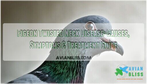 Pigeon Twisted Neck Disease: Causes, Symptoms & Treatment Guide