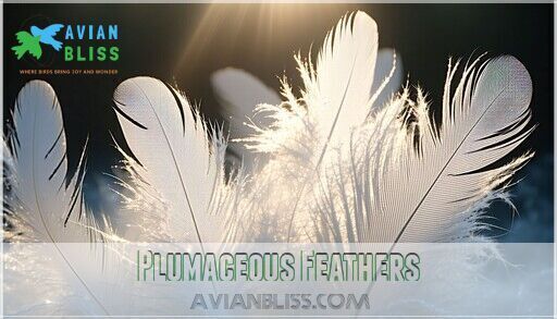 Bird Feathers: Complete Guide to Structure, Types & Care Secrets