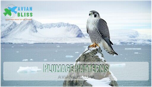 Gyrfalcon: World's Largest Falcon - ID, Habitat & Arctic Hunting Facts