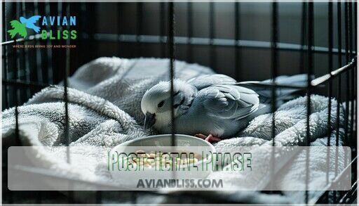 My Bird Has a Seizure and Died: Causes, Symptoms & Prevention