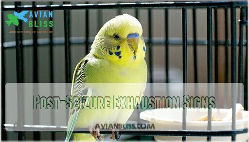 My Bird Has a Seizure and Died: Causes, Symptoms & Prevention