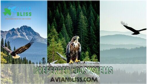 Eagle Vs Hawk Vs Falcon: Key Differences Every Bird Lover Should Know