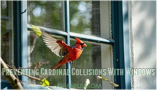 Why Do Cardinals Fly Into Windows? 5 Ways to Stop Attacks