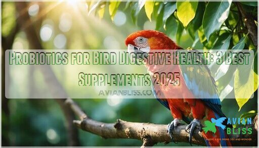 Probiotics for Bird Digestive Health: 3 Best Supplements 2025