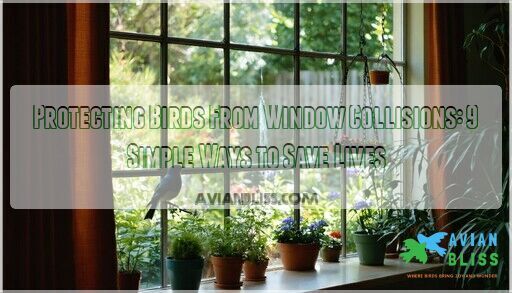 Protecting Birds From Window Collisions: 9 Simple Ways to Save Lives