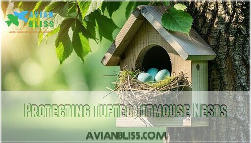 Tufted Titmouse Nest and Eggs: Complete Guide to Their Secret Lives