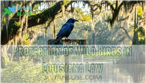 Why is It Illegal to Own a Crow? Surprising Facts Revealed!