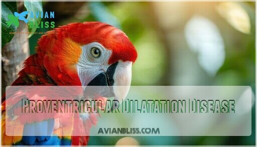 Parrot Health Issues Symptoms: Early Warning Signs Every Owner Needs