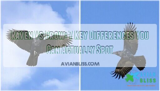 Raven Vs Crow: 7 Key Differences You Can Actually Spot