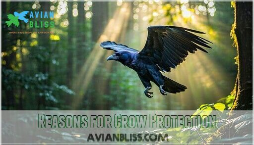 Why is It Illegal to Own a Crow? Surprising Facts Revealed!