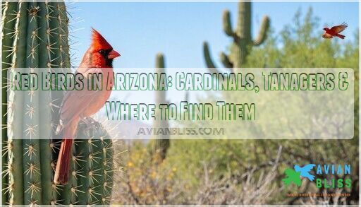 Red Birds in Arizona: Cardinals, Tanagers & Where to Find Them