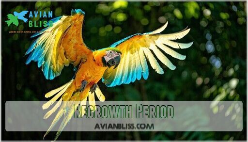 Wing Clipping Guide for Bird Owners: Safe Tips & Timing Secrets