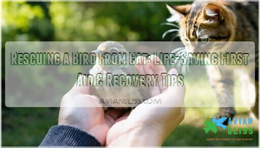 Rescuing a Bird From Cat: Life-Saving First Aid & Recovery Tips