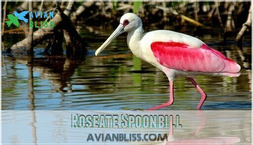 Amazing Bird Facts About Their Beaks: Shapes & Functions Revealed