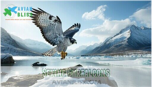 Gyrfalcon: World's Largest Falcon - ID, Habitat & Arctic Hunting Facts