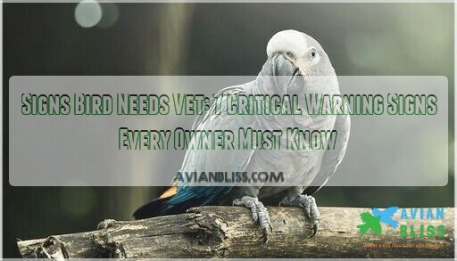 Signs Bird Needs Vet: 7 Critical Warning Signs Every Owner Must Know