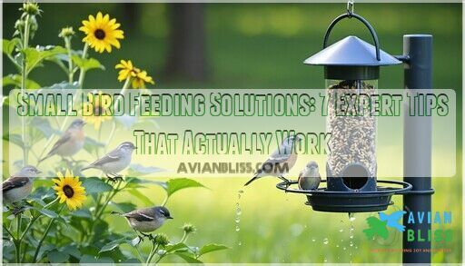Small Bird Feeding Solutions: 7 Expert Tips That Actually Work