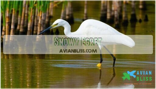 Herons in Ohio: 9 Species With Photos & ID Tips (2025 Guide)