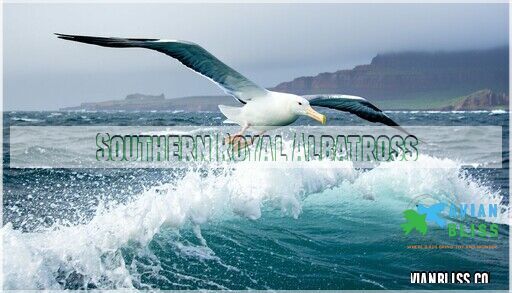 Largest Wingspan Bird: Top 10 Giants That Rule The Skies (2025)