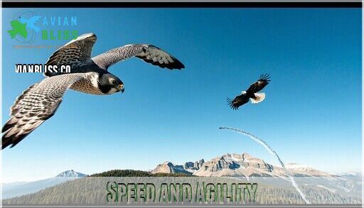 Eagle Vs Hawk Vs Falcon: Key Differences Every Bird Lover Should Know