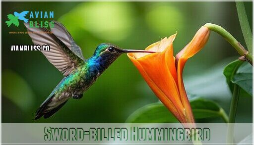 Amazing Bird Facts About Their Beaks: Shapes & Functions Revealed