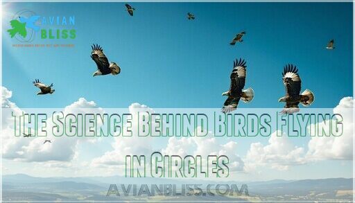 Why Do Birds Fly in Circles? 8 Fascinating Reasons Revealed!