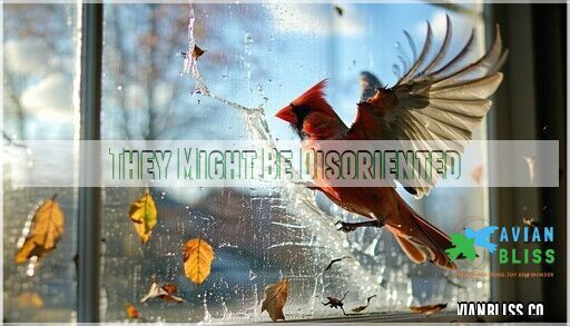 Why Do Cardinals Fly Into Windows? 5 Ways to Stop Attacks