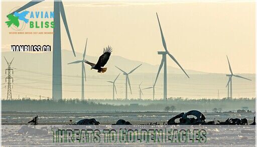 Where Do Golden Eagles Live? Range, Habitat & Distribution Guide
