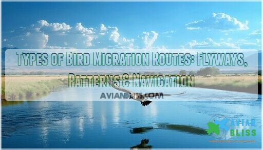 Types of Bird Migration Routes: Flyways, Patterns & Navigation