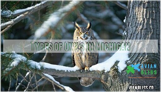 Owls in Michigan: 11 Species You Must See in 2025! (With Pictures)