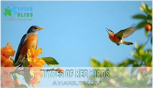 Red Birds in Florida: 12 Stunning Species Guide (With Photos!)