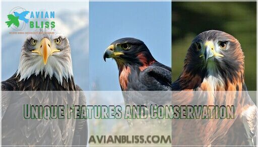 Eagle Vs Hawk Vs Falcon: Key Differences Every Bird Lover Should Know