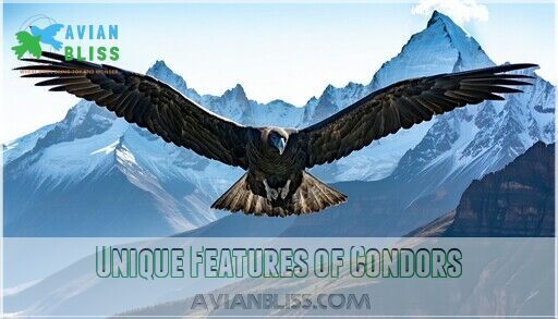 Largest Wingspan Bird: Top 10 Giants That Rule The Skies (2025)
