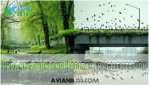 Bird Behavior Patterns Explained: Amazing Secrets of Avian Life