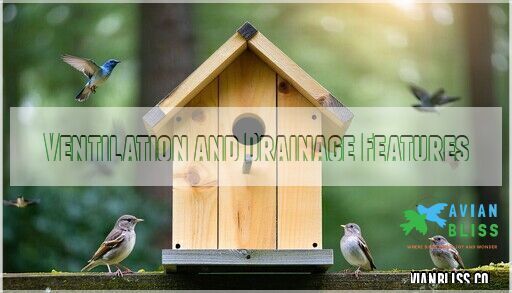Bird Nest Placement Guide: Expert Tips for Perfect Birdhouse Setup