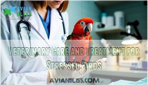 Signs of Stressed Birds Behaviors: 7 Warning Signs You Can't Ignore