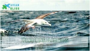 Largest Wingspan Bird: Top 10 Giants That Rule The Skies (2025)