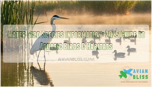 Water Bird Species Information: 2025 Guide to Aquatic Birds & Habitats