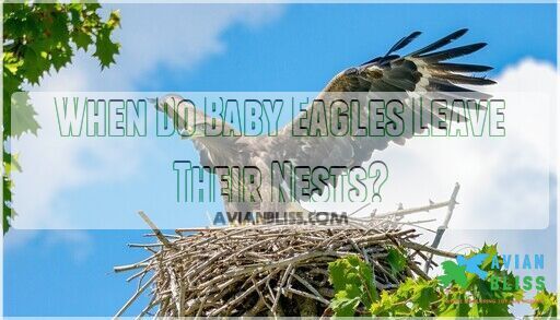 Baby Eagle Facts: Complete Guide to Eaglets (with Pictures)