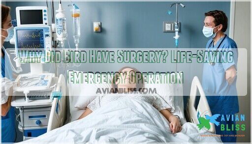 Why Did Bird Have Surgery? Life-Saving Emergency Operation