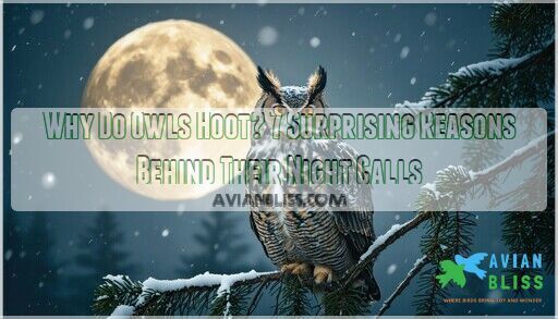 Why Do Owls Hoot? 7 Surprising Reasons Behind Their Night Calls
