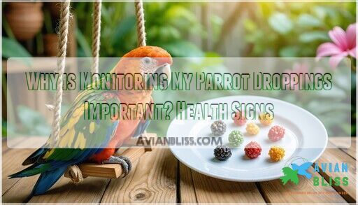 Why is Monitoring My Parrot Droppings Important? Health Signs