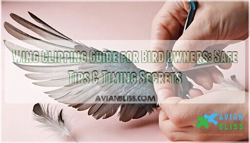 Wing Clipping Guide for Bird Owners: Safe Tips & Timing Secrets