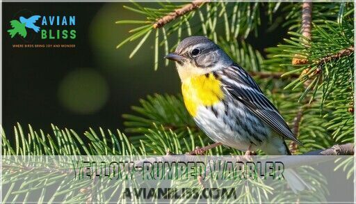 Small Birds in Florida: ID Guide with Photos
