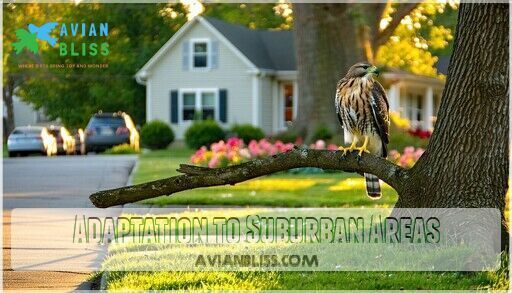 Red-shouldered Hawk: Complete Guide to ID, Habitat & Behavior