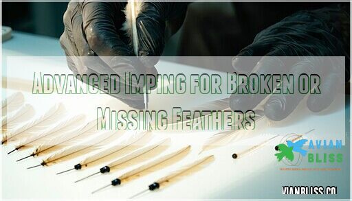 Bird Feather Repair Methods: Easy DIY Steps to Fix Damaged Feathers