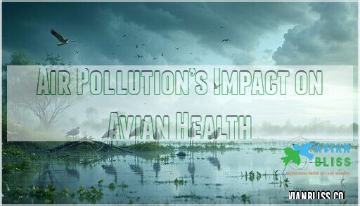 Saving Birds From Pollution: 12 Simple Ways to Help in 2025