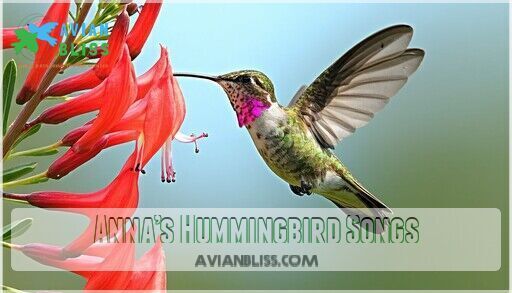 Do Hummingbirds Sing? Calls, Sounds & What They Mean