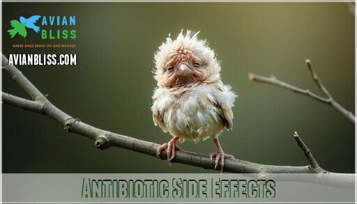 Safe Antibiotic for Birds: Expert Guide to Treatment & Dosage